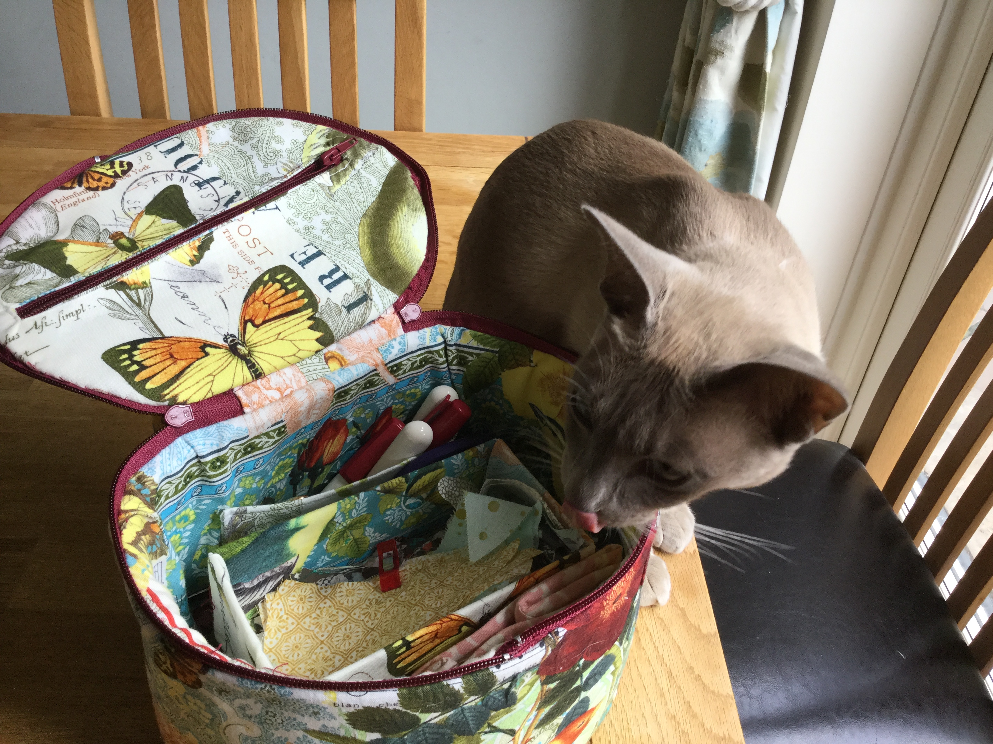 Project Caddy and the mysteries of interfacing | The Lilac Cat